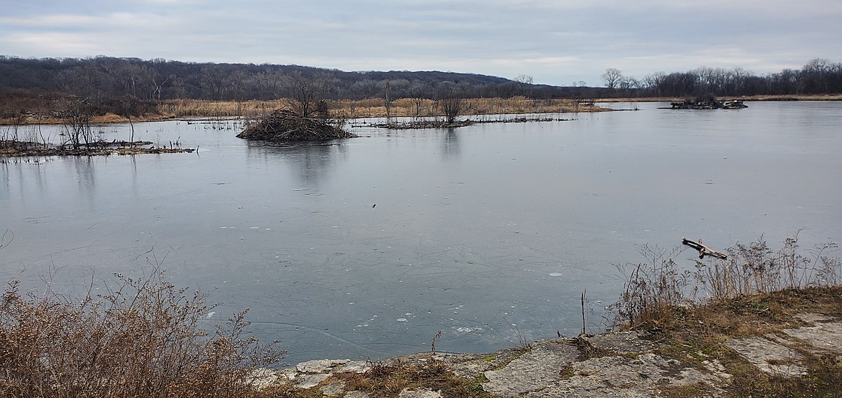 Water Quality Testing Data for Sag Quarry- East, Sag Quarry - East ...