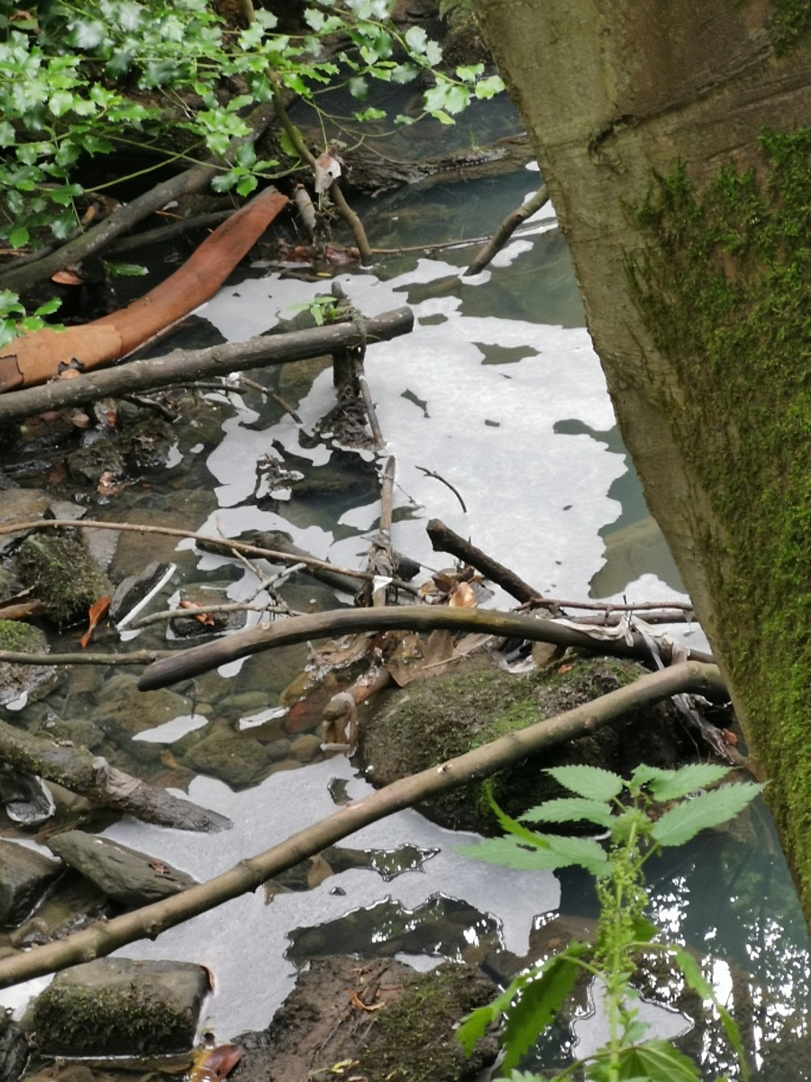 Issue Report for Pollution at Fox Wood Beck tributary of Wyke Beck ...