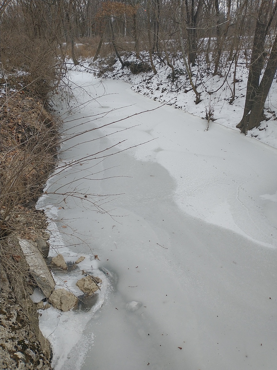 Water Quality Testing Data for Richland Creek @ Centennial Park ...