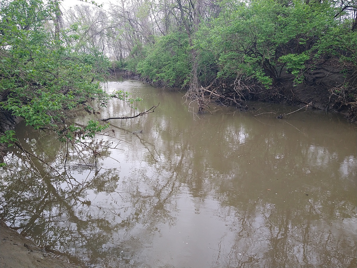 Water Quality Testing Data for Richland Creek @ South Side City Park ...
