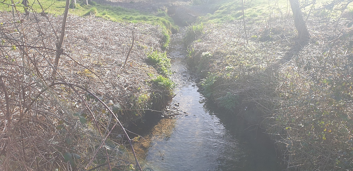 Water Quality Testing Data for Farnham Park, River Wey - Water Rangers