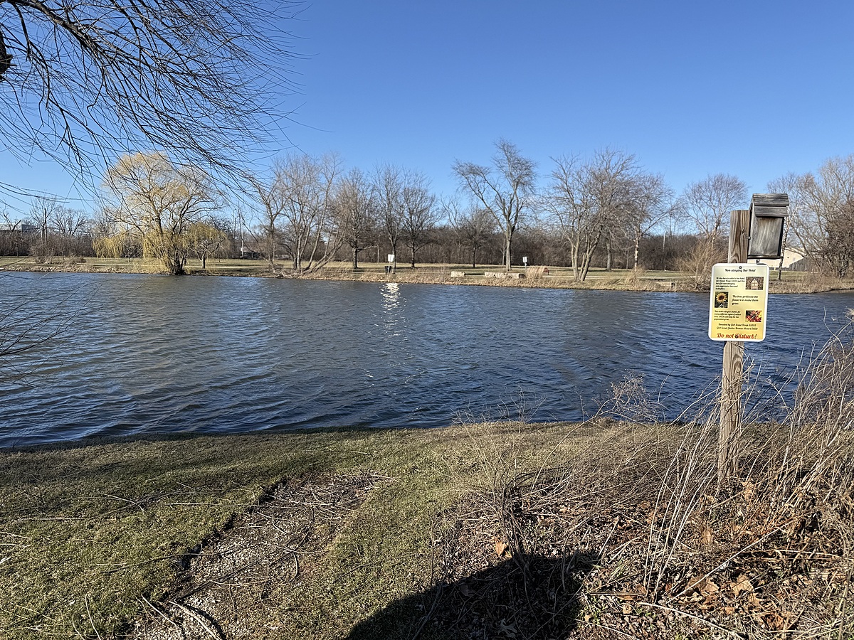Water Quality Testing Data for Joe LeCroy, Lombard Lagoon - Water Rangers