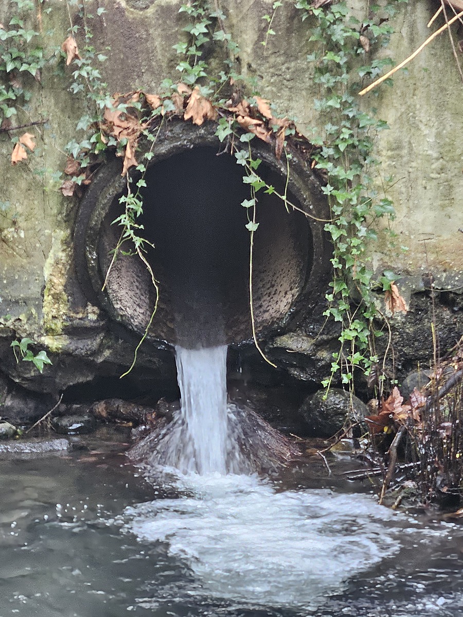 Water Quality Testing Data for 15th Street Storm drain - WAG-E-03 High ...