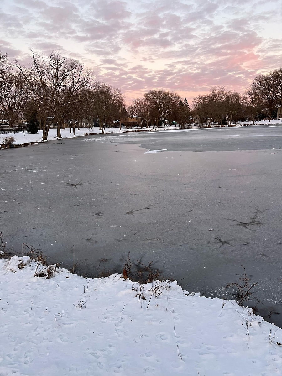 Water Quality Testing Data for Joe LeCroy, Old Grove Pond - Water Rangers